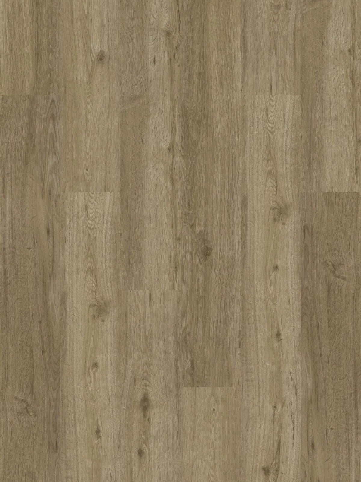 Glue Down Light Brown Vinyl Flooring | Irish Cream — Tiles of Europe